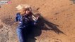 Tannerite Hog Explosion - video Dailymotion