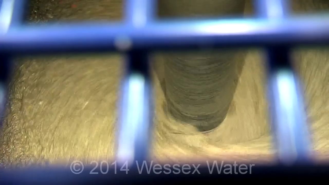 The UK’s first food and poo-powered bus - BioBus - Vidéo Dailymotion