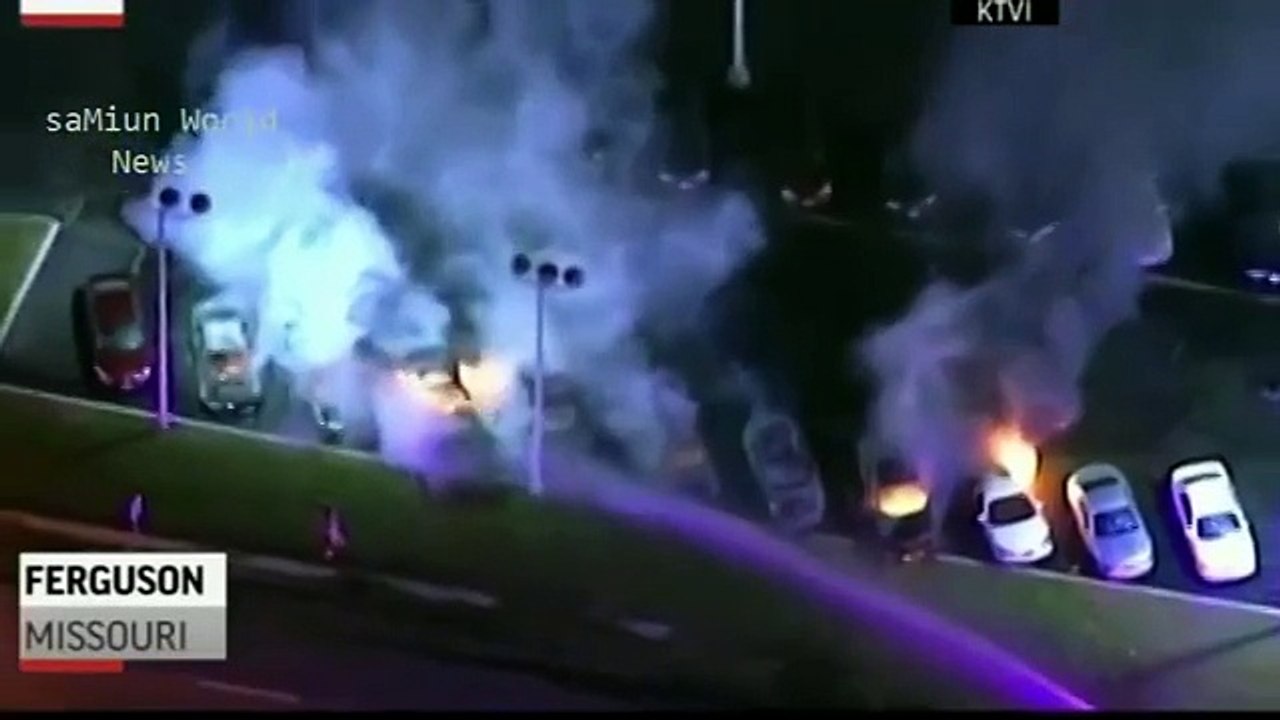 Chimpout Song Compilation - video Dailymotion