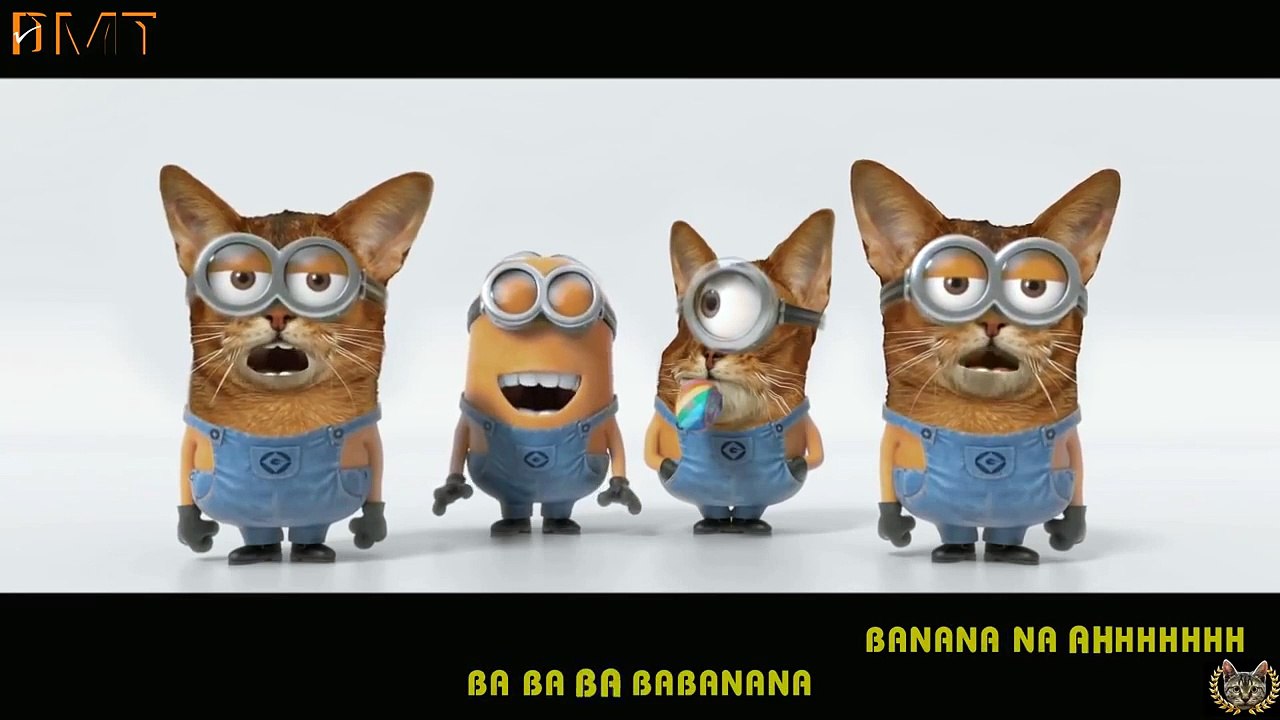 Minions Minions Banana Song (Trailer Cats - Vídeo Dailymotion