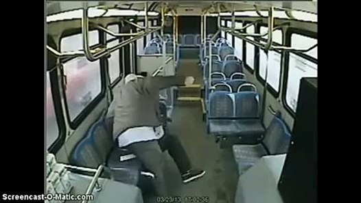 Angry Bus driver punches passenger because he asked too much questions ...