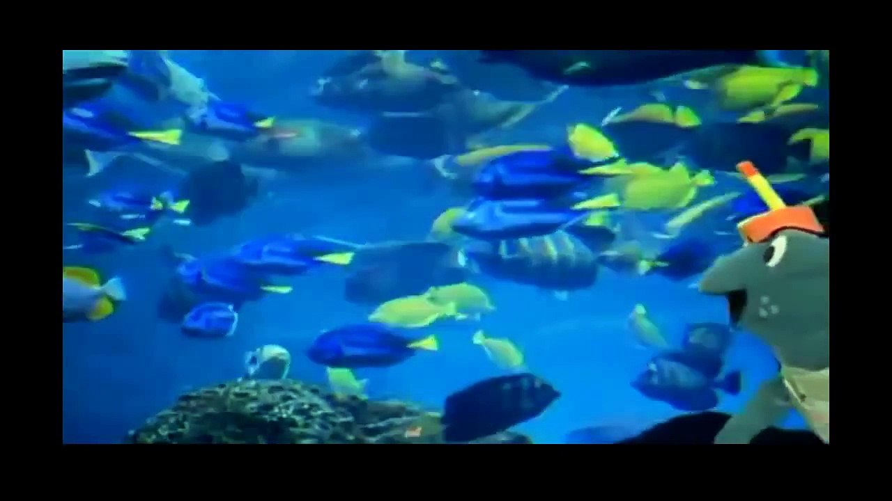 Baby Einstein Baby Neptune Discovering Water - video Dailymotion