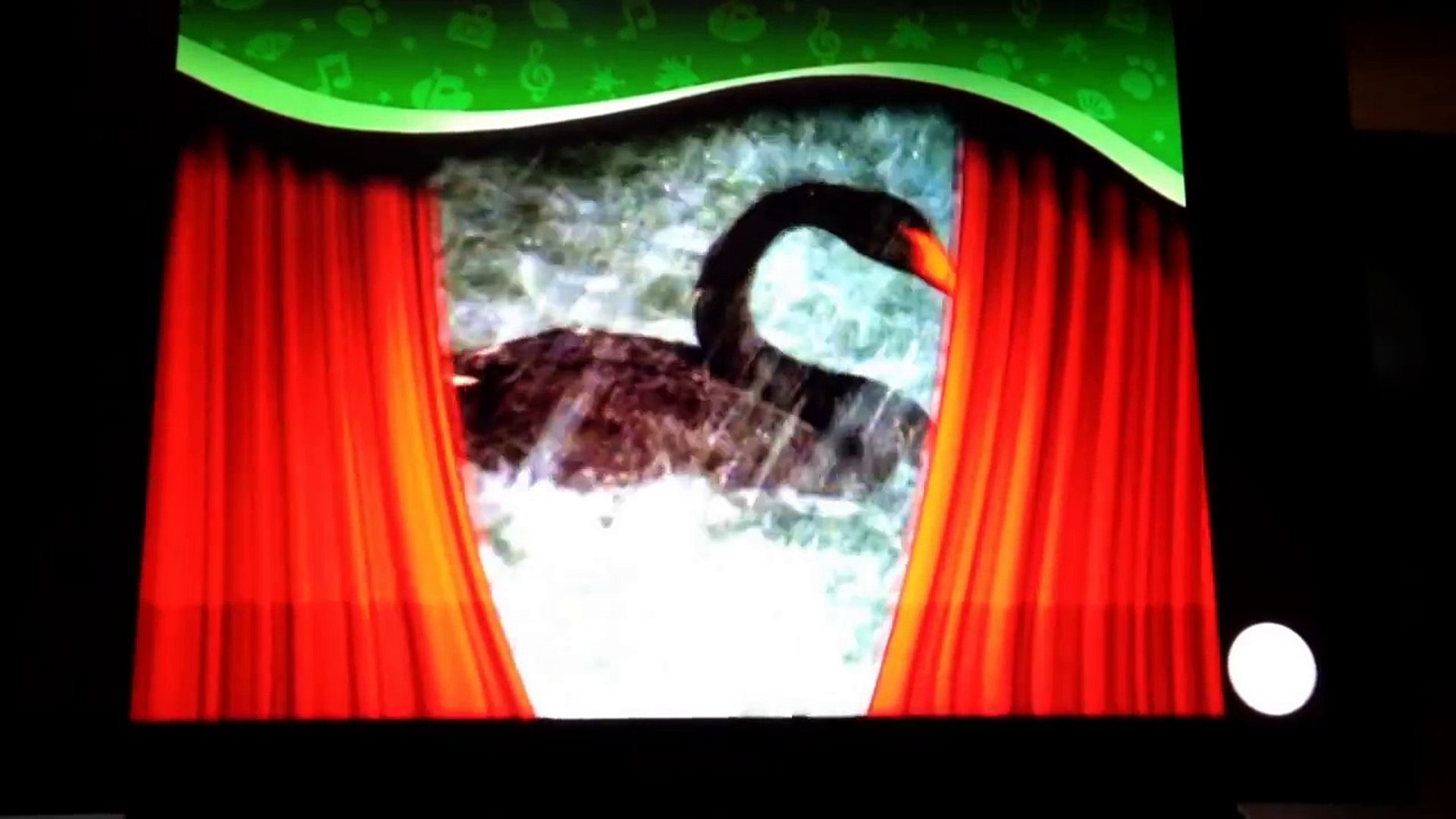 Baby Einstein Animals Around Me