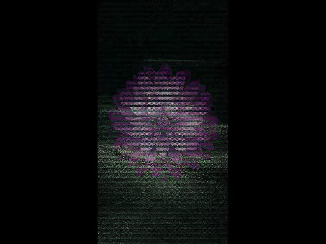 Stock-wallpapers videos - Dailymotion