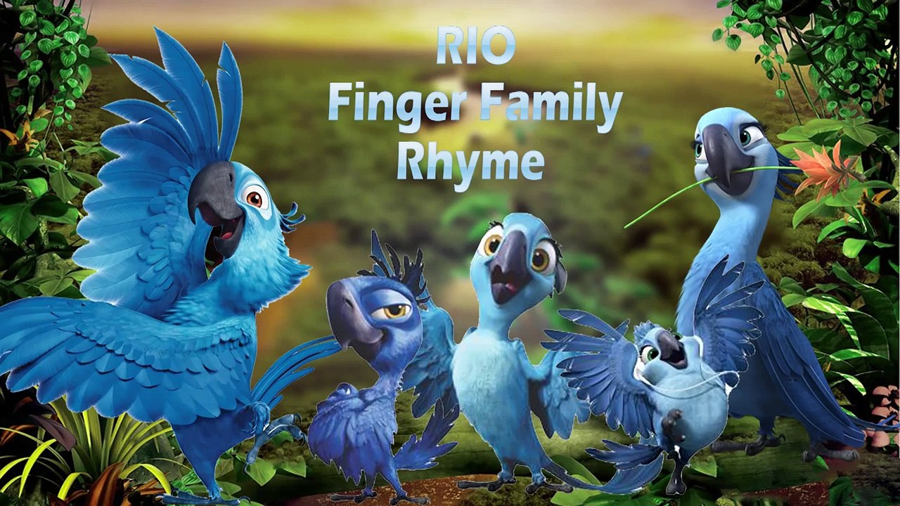 Finger Family Nursery Rhymes For Kids | Rio vs Angri Birds Cartoon ...