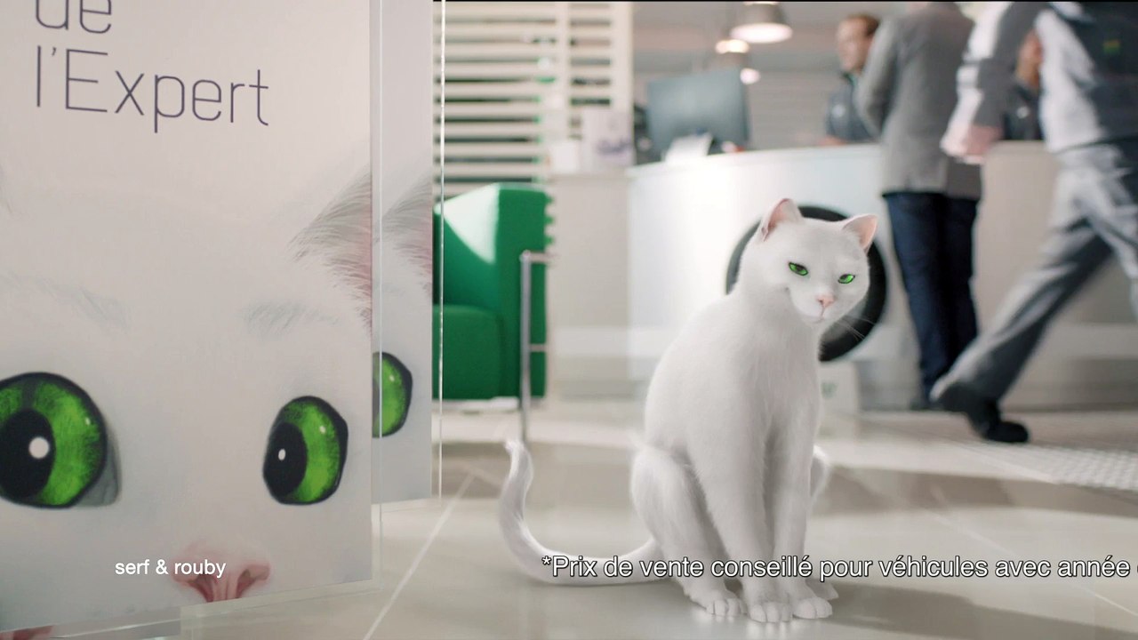 Feu Vert - entretien automobile, "Mister Mystère, avec le chat Ramsès ...