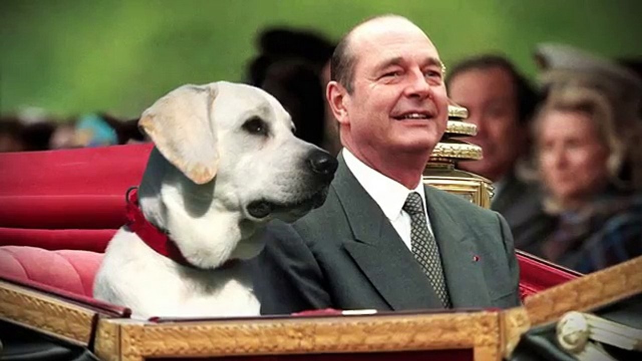 Télé Z - programme de télévision, "Le chien du président, www.telez.fr ...