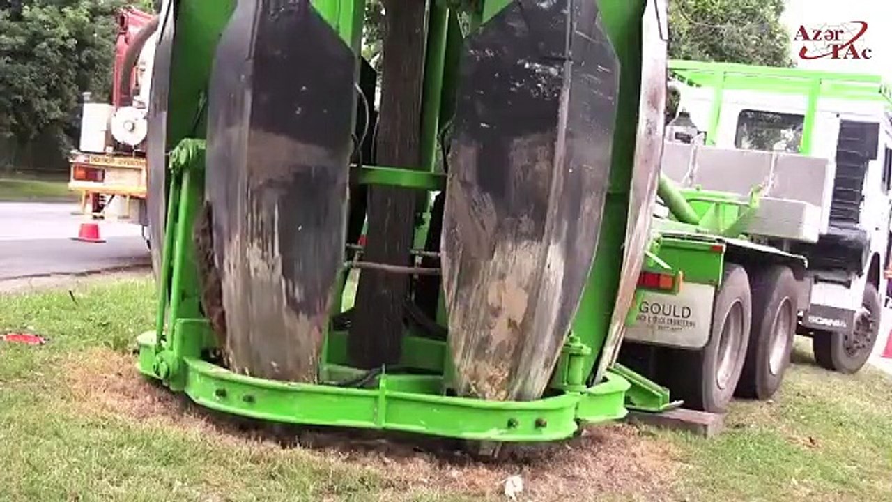 Tree Shifting Machine - video Dailymotion