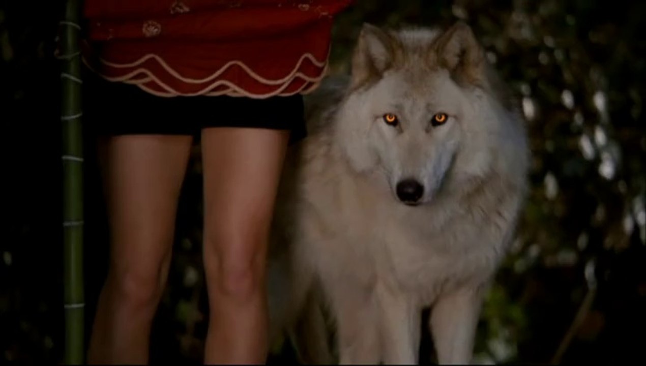 True Blood: Werewolves - We choose pack! - video Dailymotion