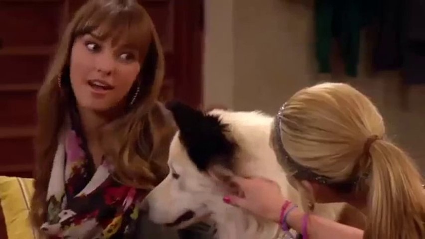 Dog With A Blog Season 1 Disney Channel English by MK Digital - dailymotion