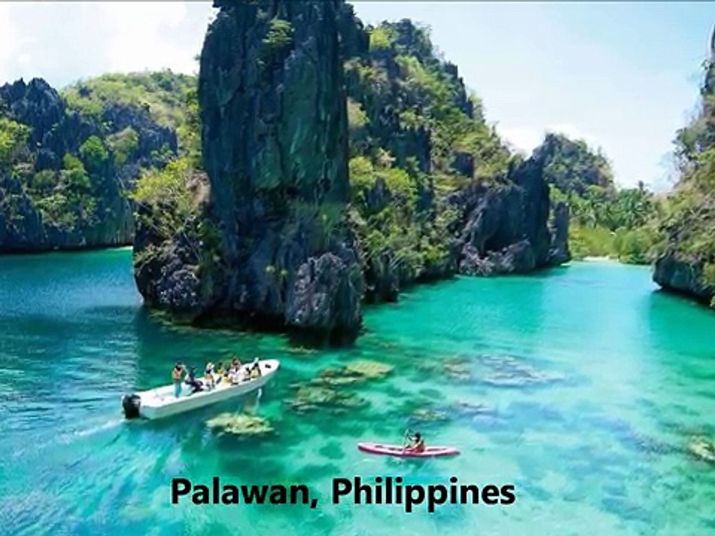 Wonderful Things In The World 20 Best Things To Do At Animal Kingdom: