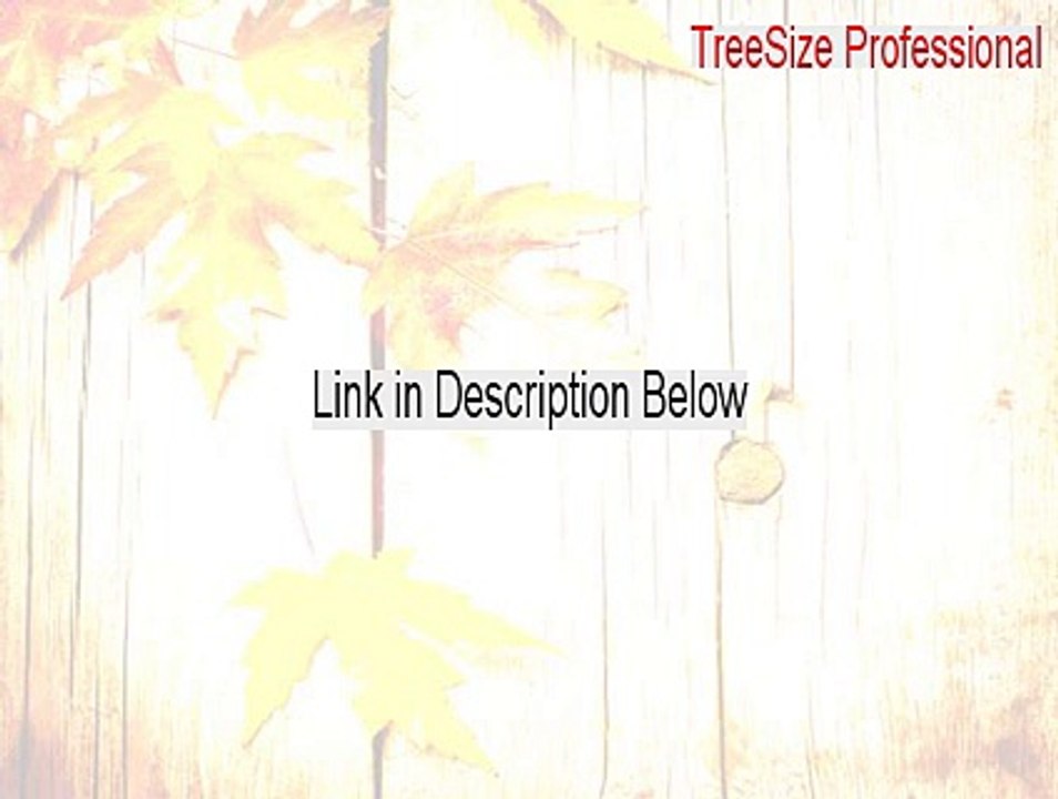 TreeSize Professional Key Gen - Instant Download [2015] - video Dailymotion