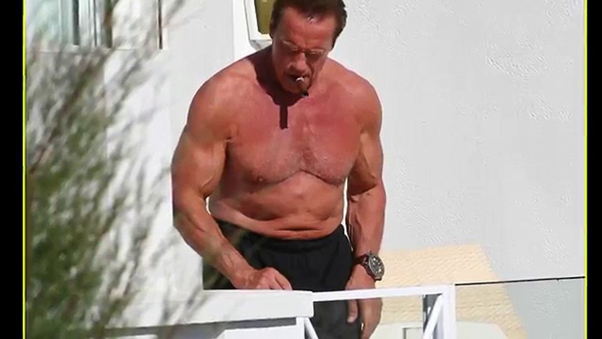 Arnold Schwarzenegger 2013 Back In Shape You Don't Need To Train For