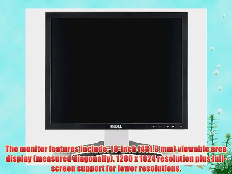 Dell 1908FP UltraSharp Black 19-inch Flat Panel Monitor 1280X1024 with ...