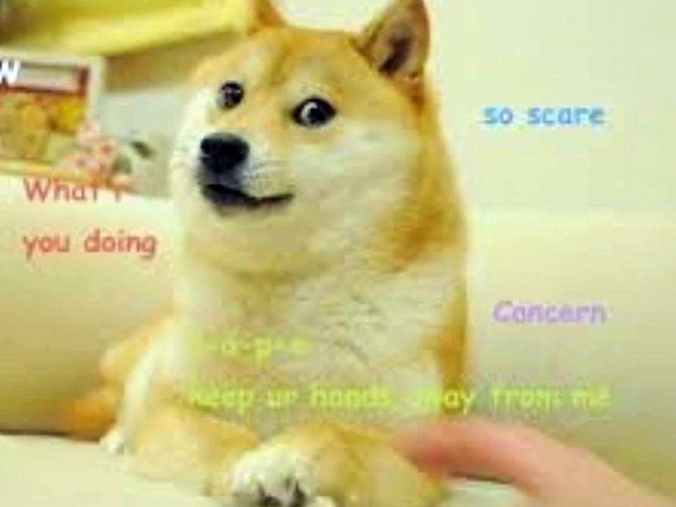 Doge - Doge Memes: so sad, much sorrow ( ͡° ͜ʖ ͡°) ( ͡° ͜ʖ ͡°) ( ͡° ͜ʖ ...