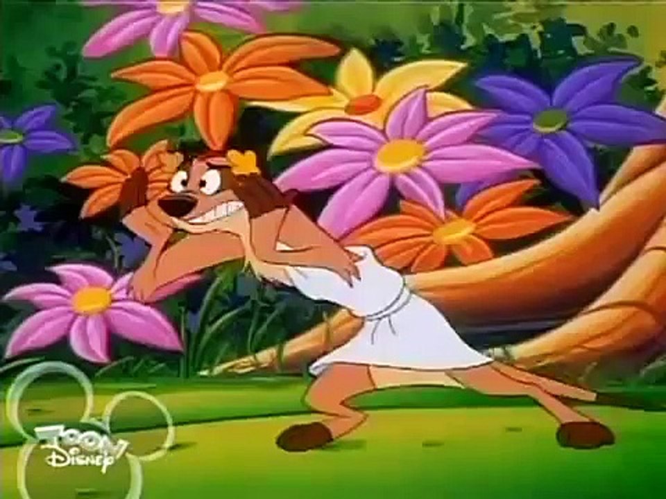 Disney Channel Timon And Pumbaa