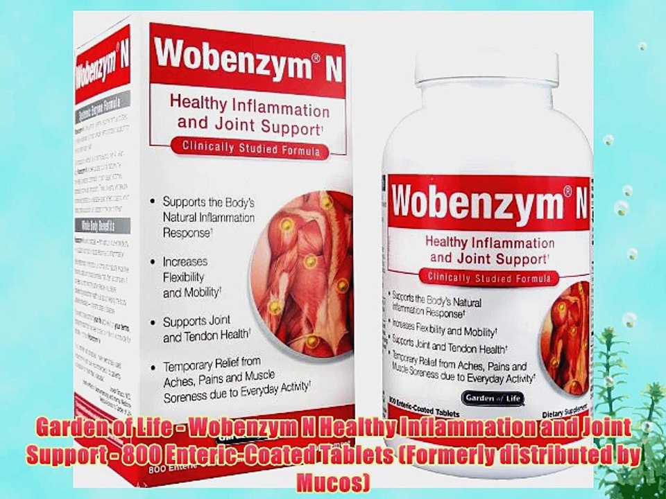 Garden of Life - Wobenzym N Healthy Inflammation and Joint Support ...