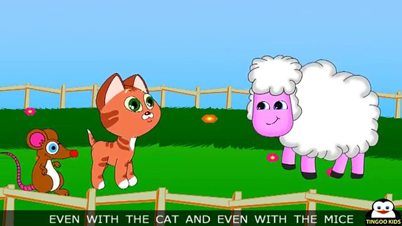 Nursery Rhymes Kids, Learn About Sheep - Friendly With Cats With Lyrics ...