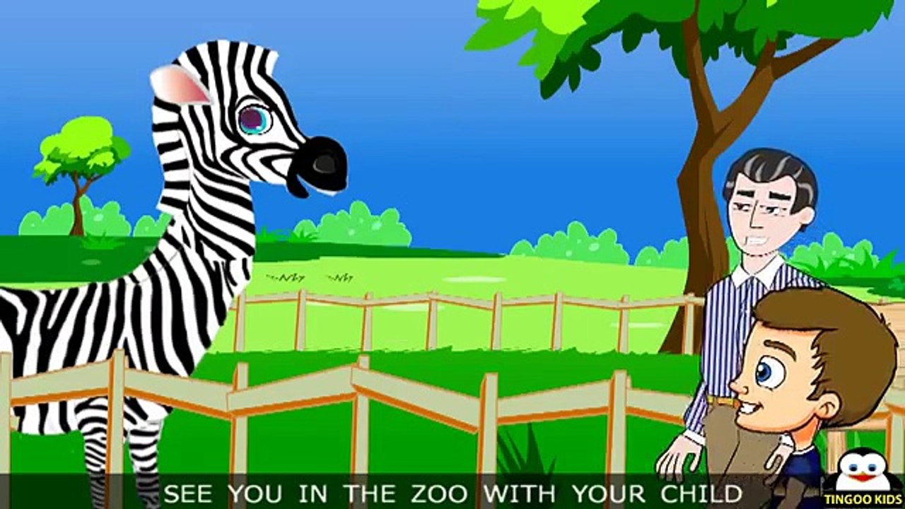 Nursery Rhymes Learn About Zebra Kids Songs With Lyrics From TingooKids ...