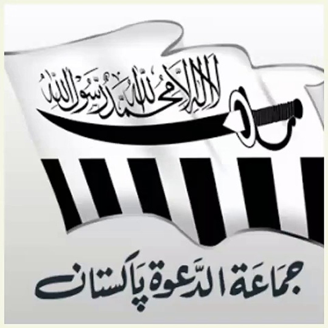Lashkar E Taiba Flag