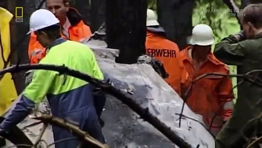 Air Crash Investigation Bashkirian Airlines Flight 2937 Collision DHL ...