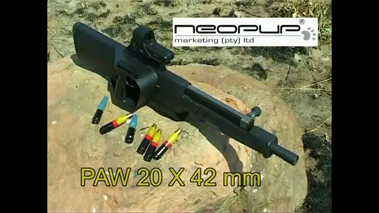 Assault Rifle Cannon Neopup PAW-20 mm Shells - video Dailymotion