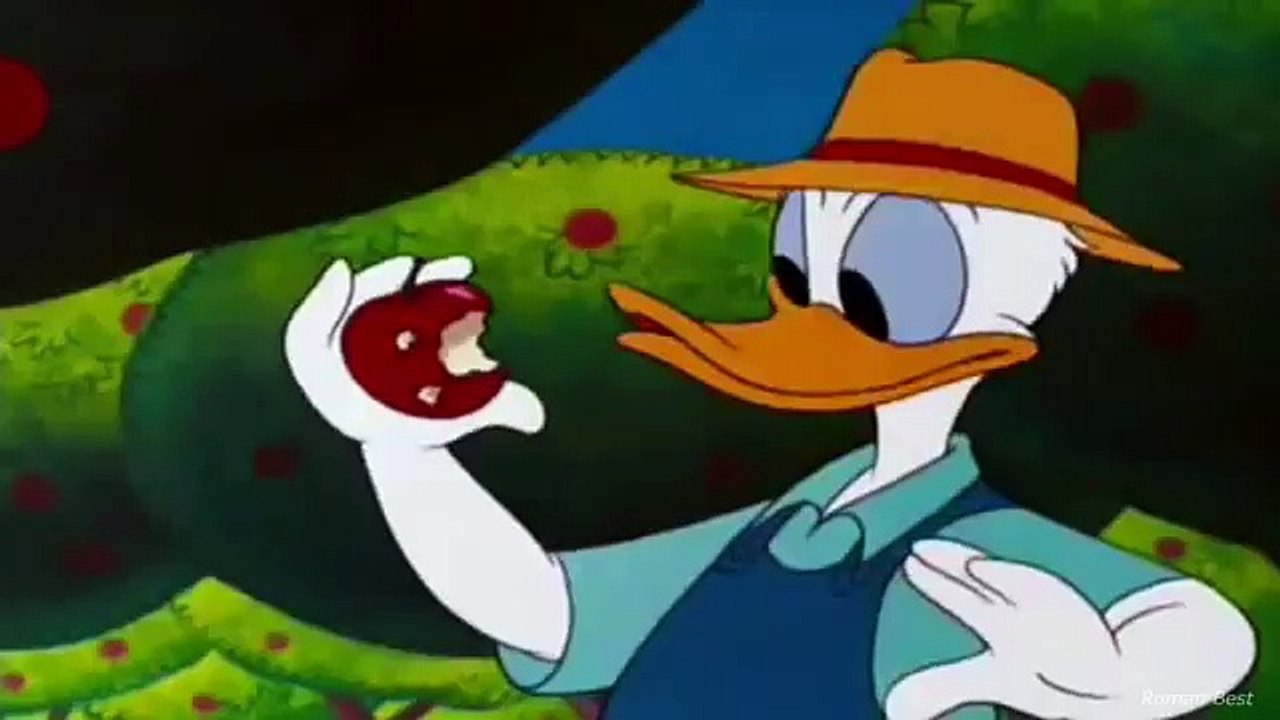 Chip and Dale,Donald Duck (Donald Applecore) (Low) - video Dailymotion
