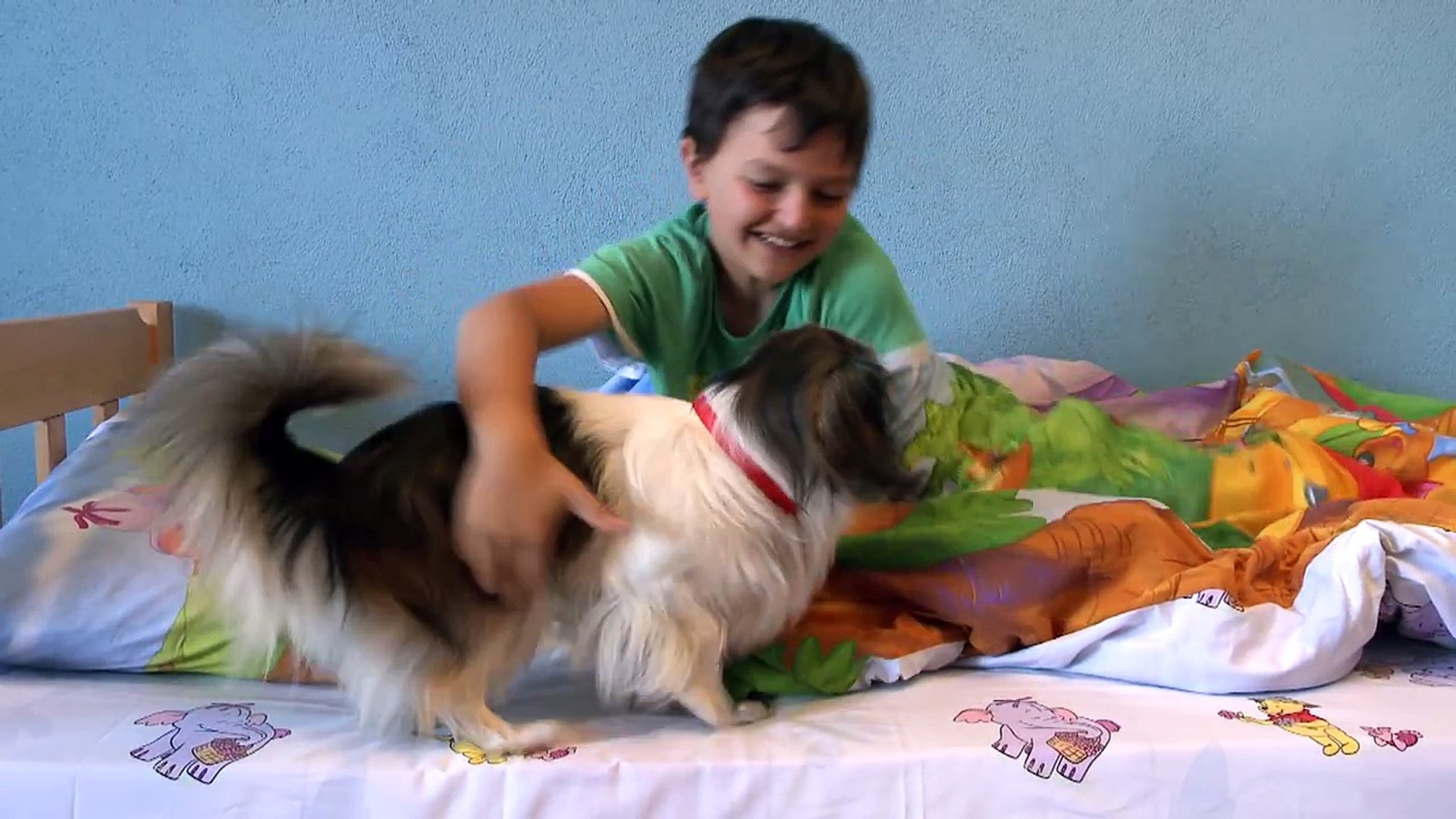 Qingji I Vogel Pellumb Hajdari