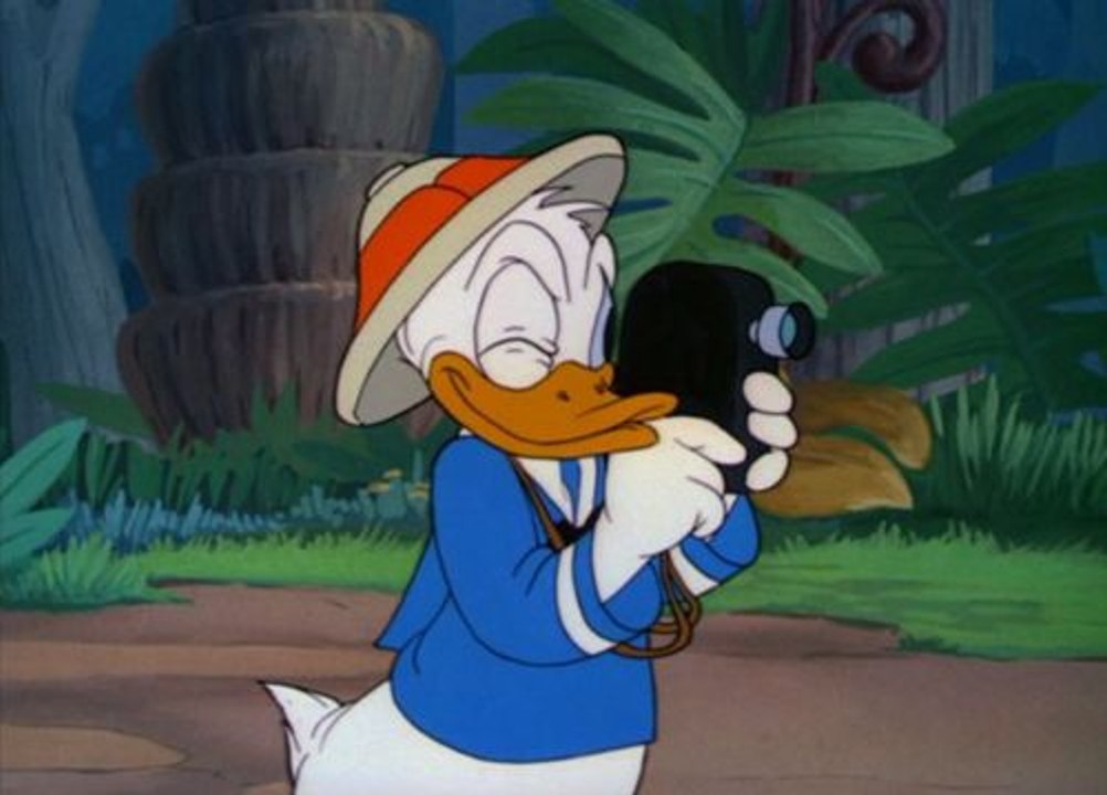 Donald Duck - Donalds Camera 1941 - Video Dailymotion