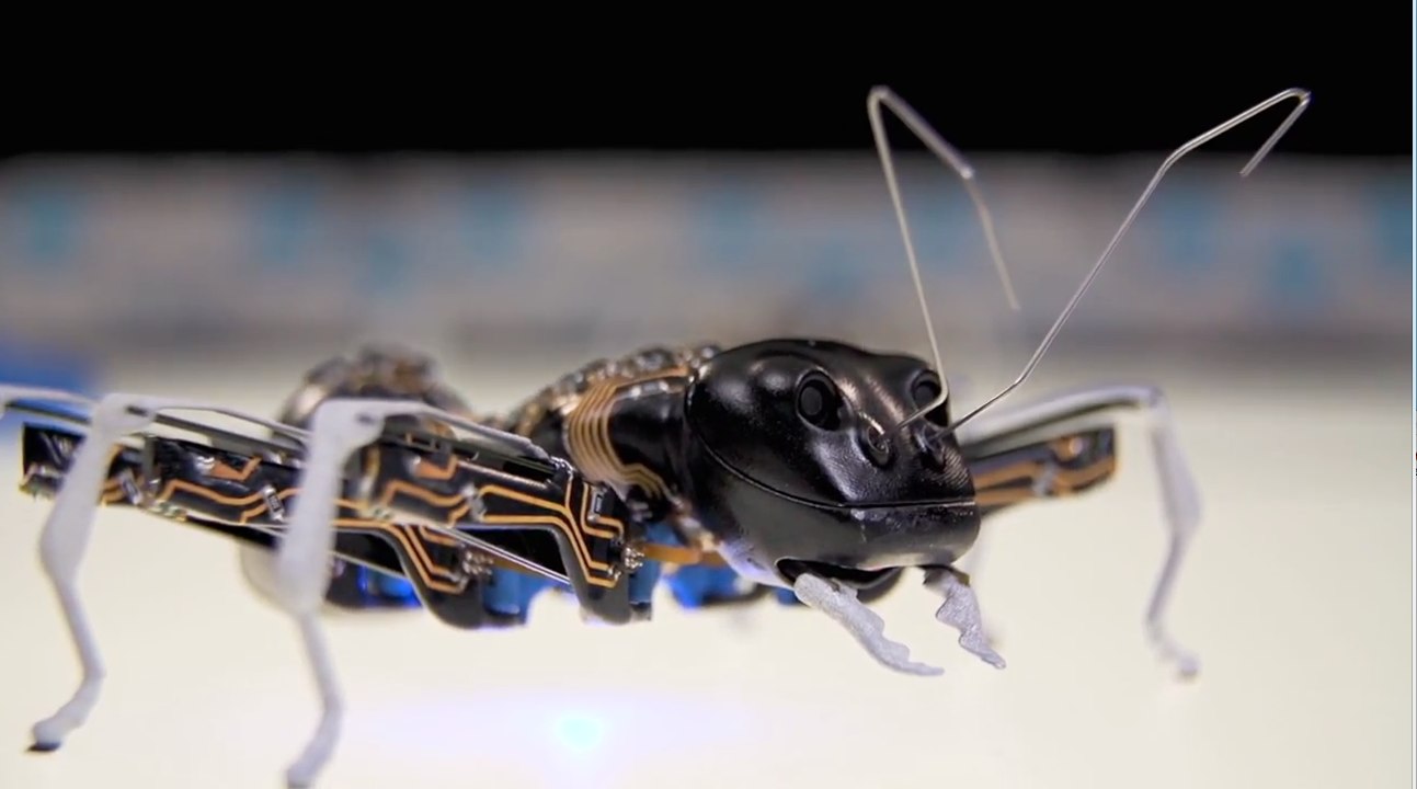 Festo – BionicANTs - Vidéo Dailymotion