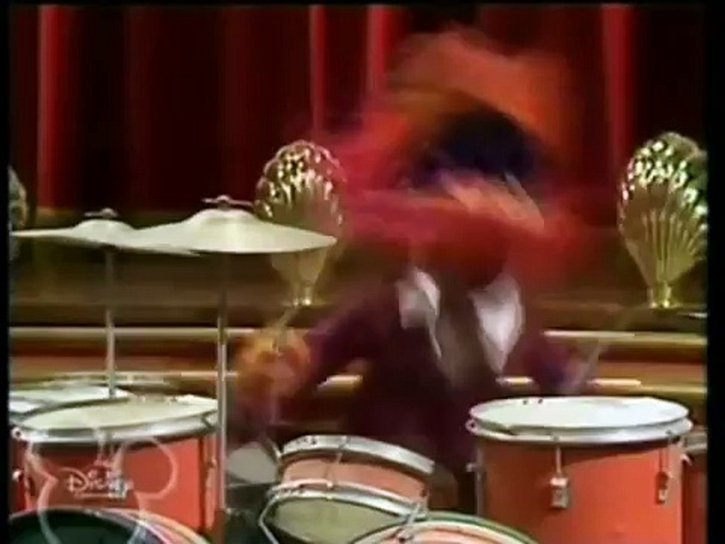 Happy Birthday Animal Drums