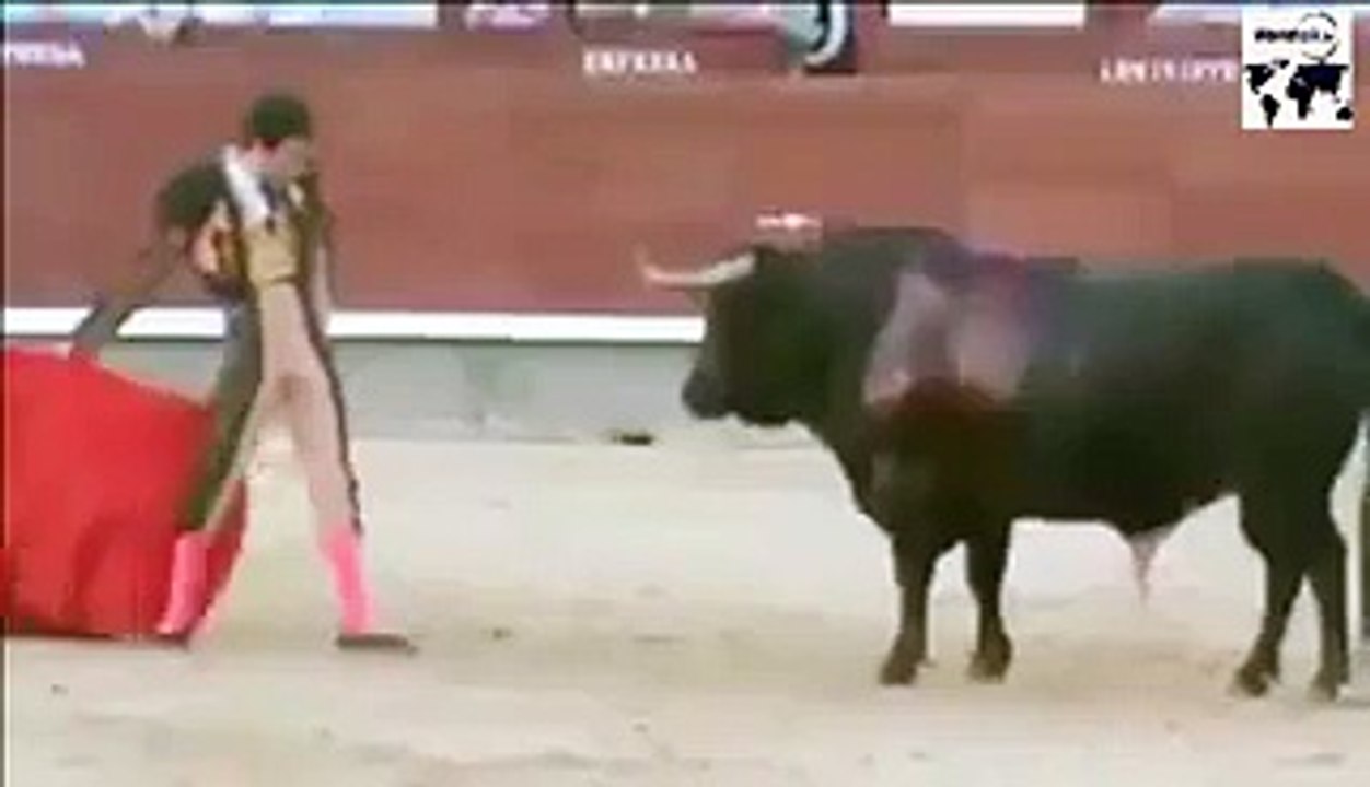 horrible fight !!! Bull VS Man - video Dailymotion