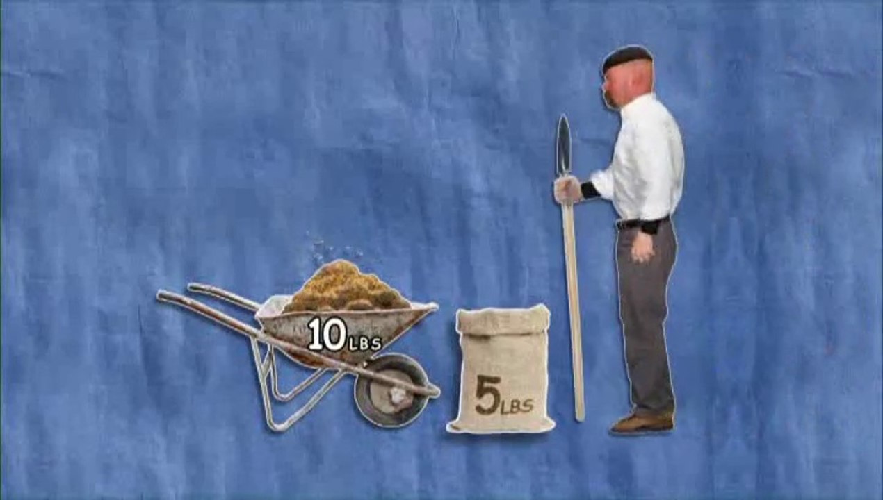 Mythbusters | 10 Pounds Of Poop - video Dailymotion