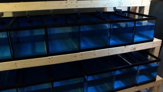 HOW TO: Build a Multiple Aquarium Rack - video dailymotion