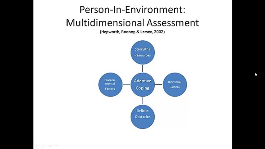 Person In Environment Theory