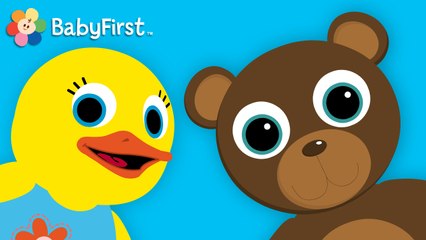 Vidéos de BabyFirst France - Dailymotion