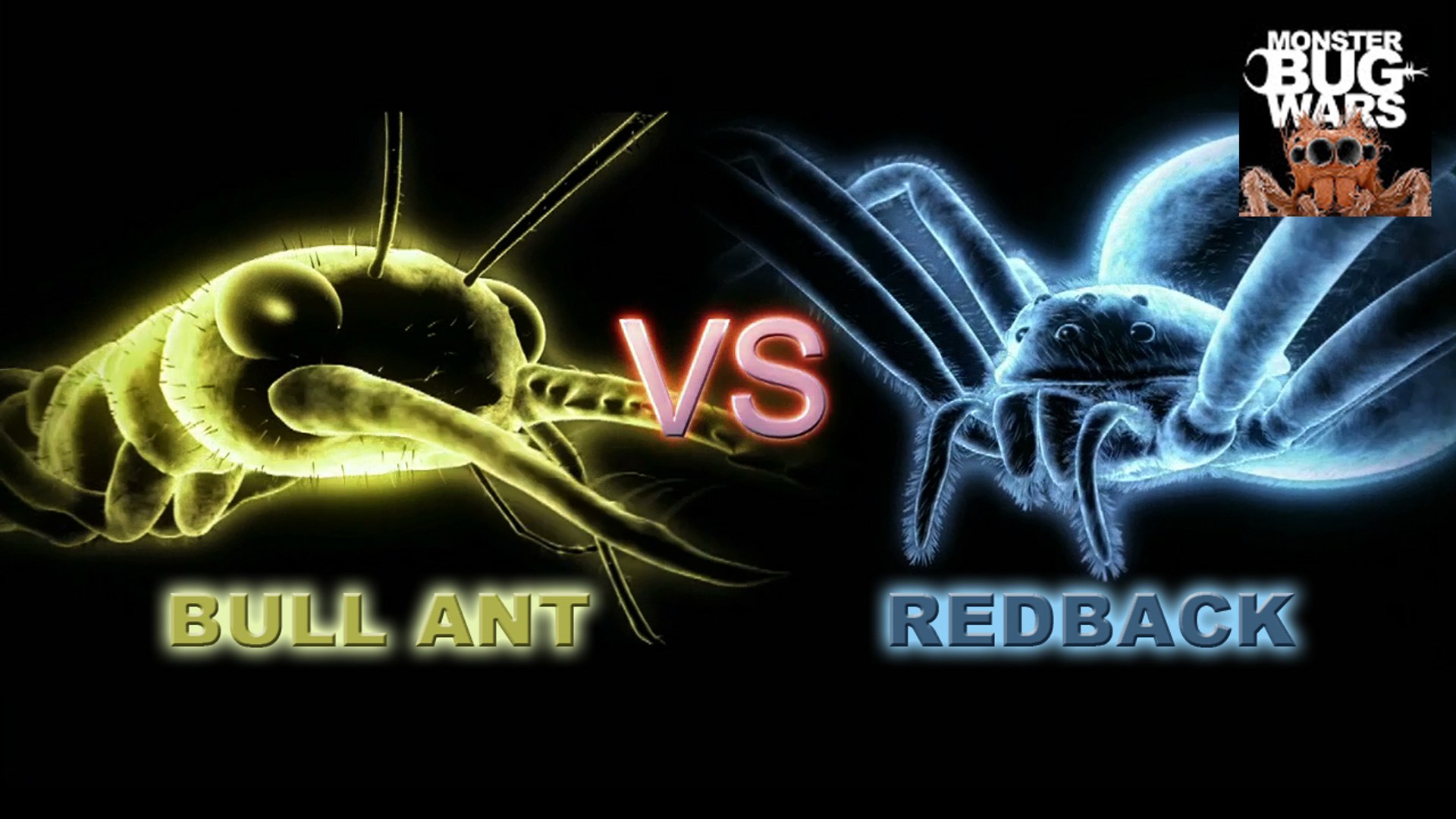 Bullant Logo Myrmecia Dispar : Bull Ant | Atlas Of Living Australia