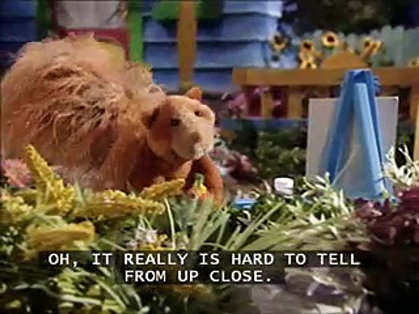 Caillou Rexy Teddy Gilbert