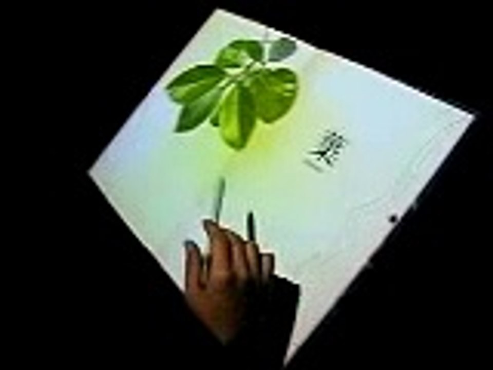 Masaki Fujihata - Beyond Pages, Interactive Enviroment,1995 - video Dailymotion