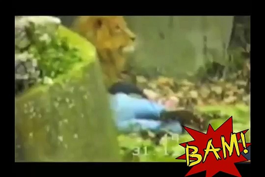 Man vs Animal: Best Encounters Man Fighting with Animals in Anger ...