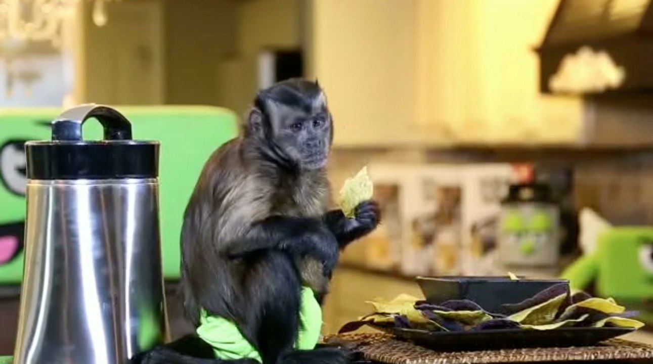 Monkey See, Monkey Cook - video Dailymotion