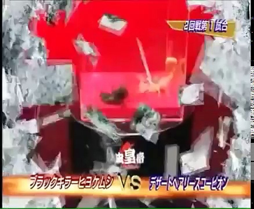 Camel Spider vs Scorpion Big Fight!!!New - video Dailymotion