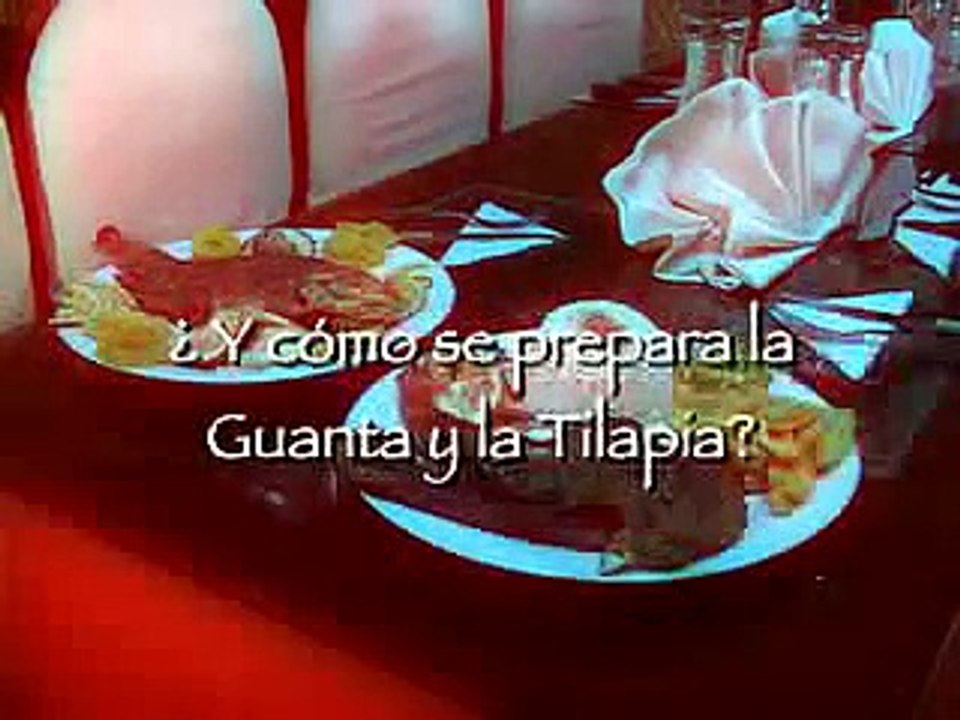 Seco de guanta - Vídeo Dailymotion