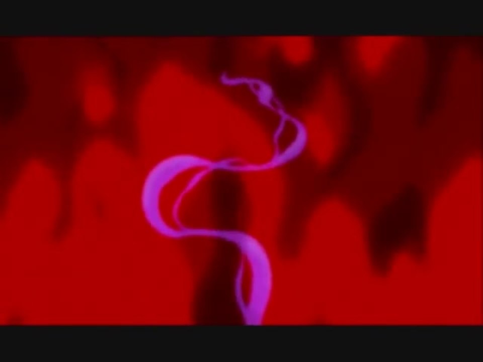 Aladdin - Intro (Deutsch) - video Dailymotion