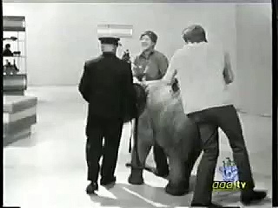 Blue Peter - elephant - video Dailymotion