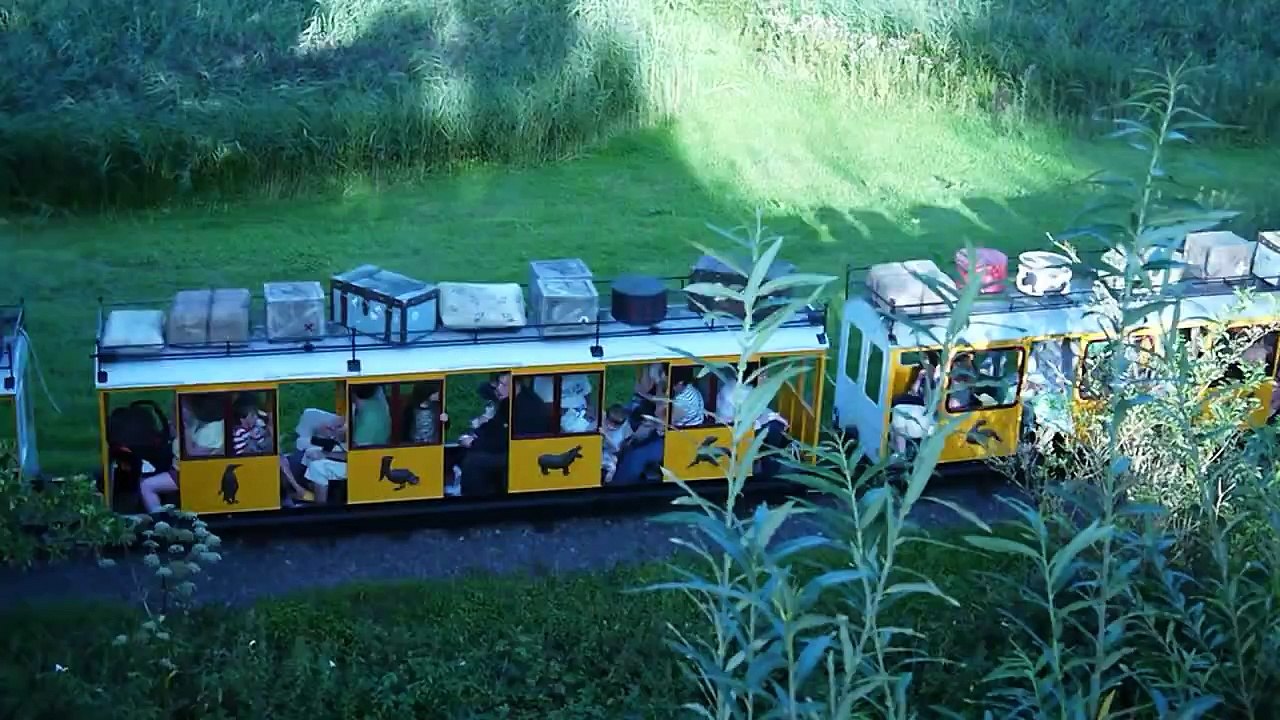 Longleat Safari Park Railway Jungle Express Narrow Gauge Steam & Diesel ...