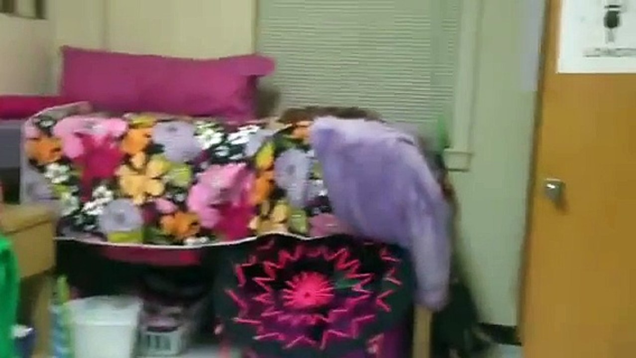 Maple Hall UNT Dorm - video Dailymotion