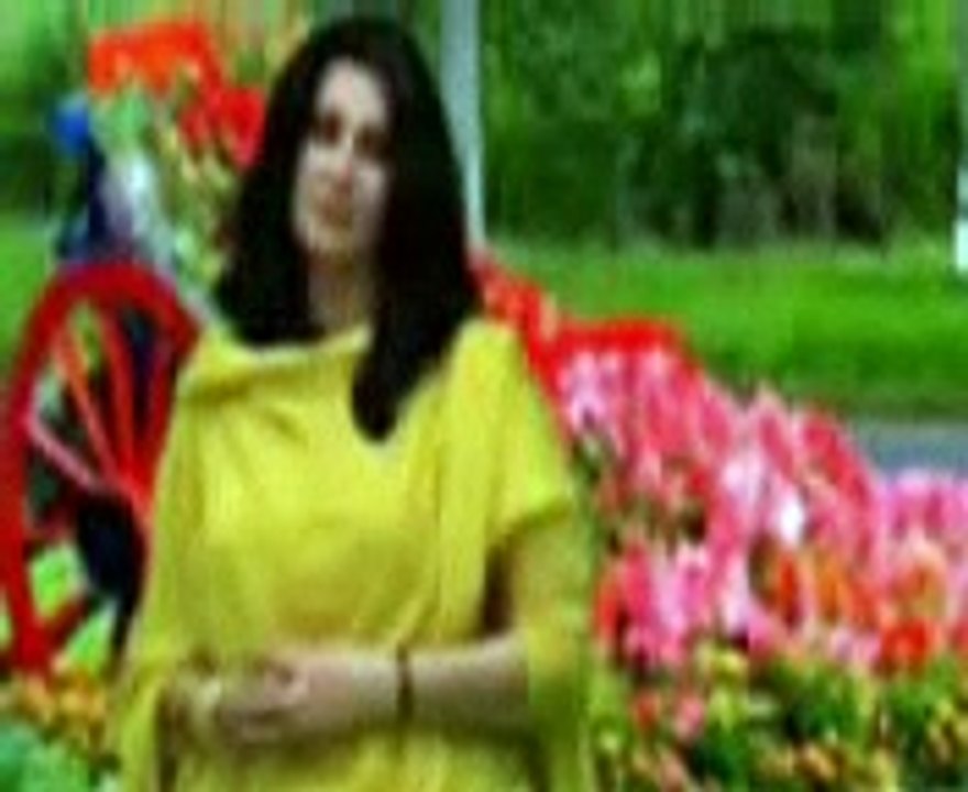 DAMSAZ MARWAT SONG _ - video Dailymotion