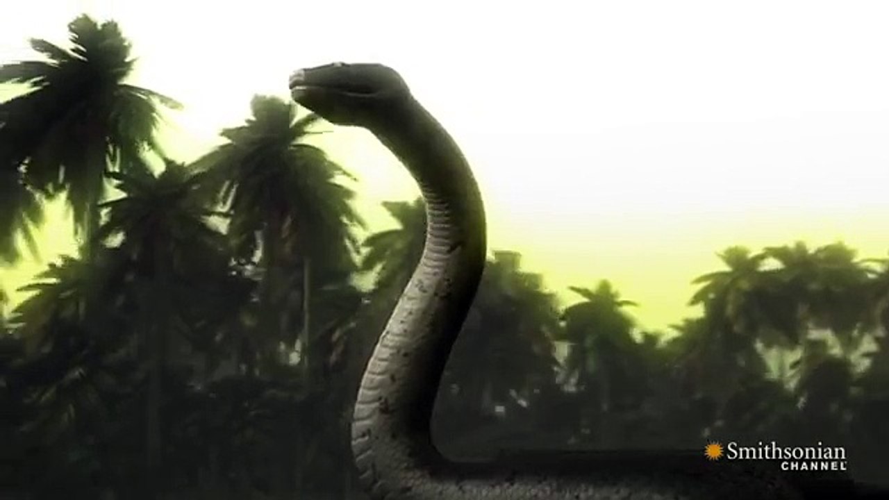 Titanoboa: Monster Snake - Titanoboa Vs. T-Rex - video Dailymotion