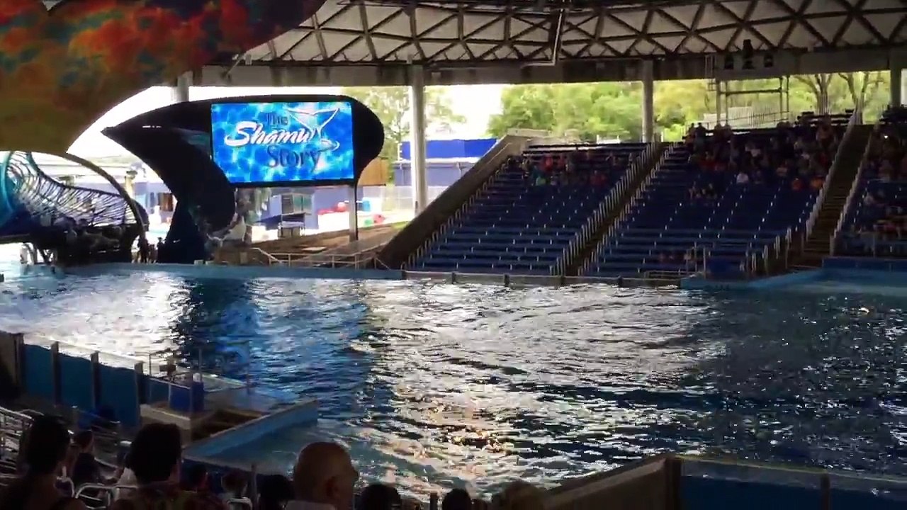 A Shamu Story - SeaWorld San Antonio - Shamu Stadium May 2015 - video ...